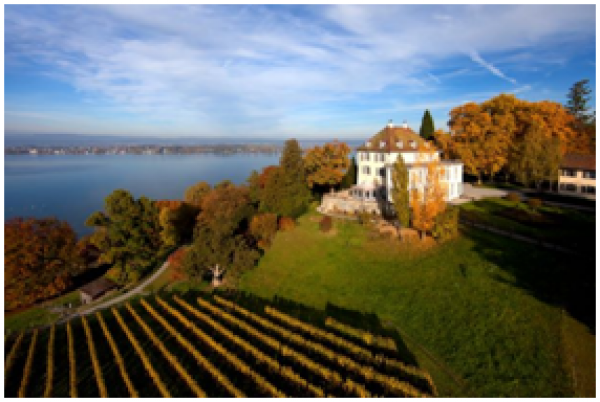 Lago di Costanza, break autunnali tra natura, enogastronomia e musei